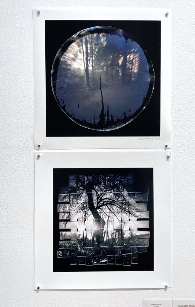 Layered light: Contemporary Pinhole and Zone Plate Photography - Light ...