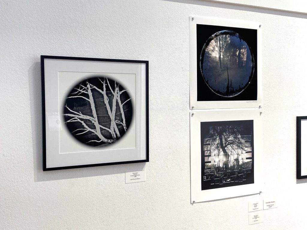 Layered light: Contemporary Pinhole and Zone Plate Photography - Light ...