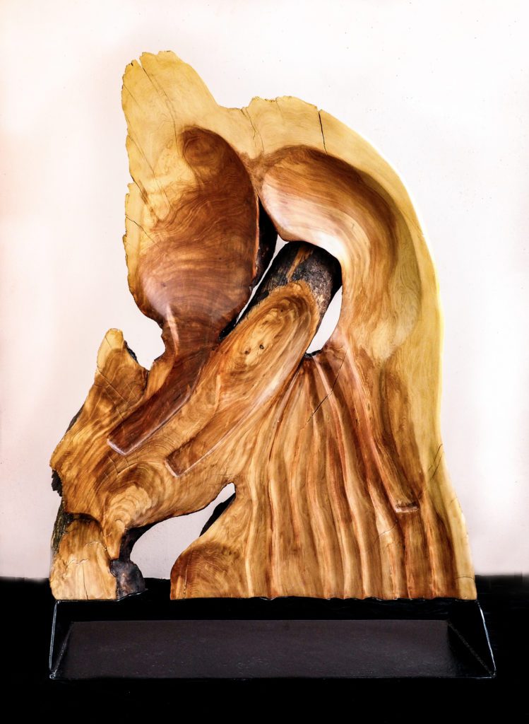 Juan Velasco - Light Art Space Karen Hymer