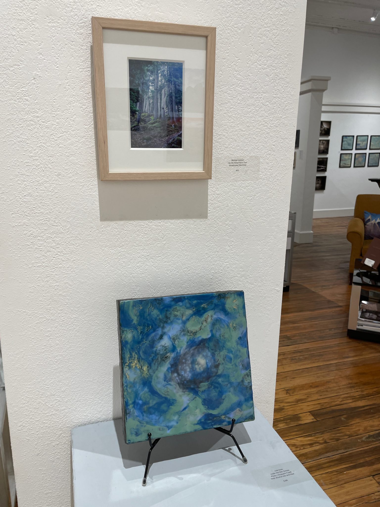 Picturing Wilderness - Light Art Space Karen Hymer