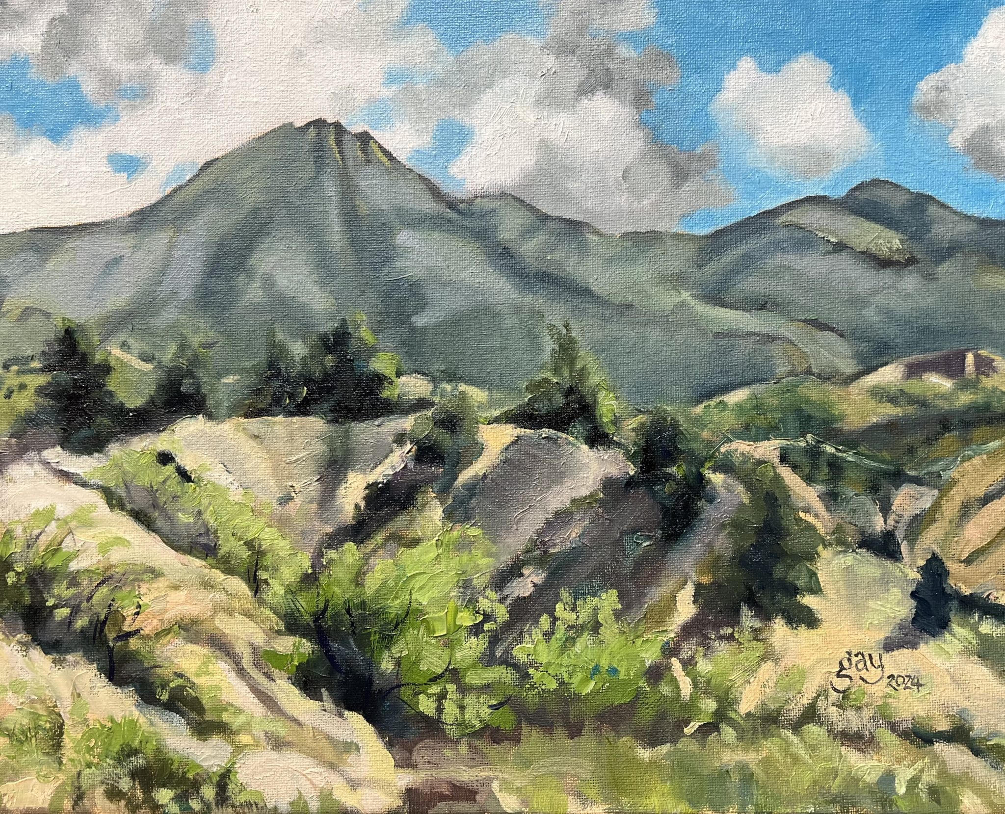 Four Artists Celebrating Wilderness - Light Art Space Karen Hymer